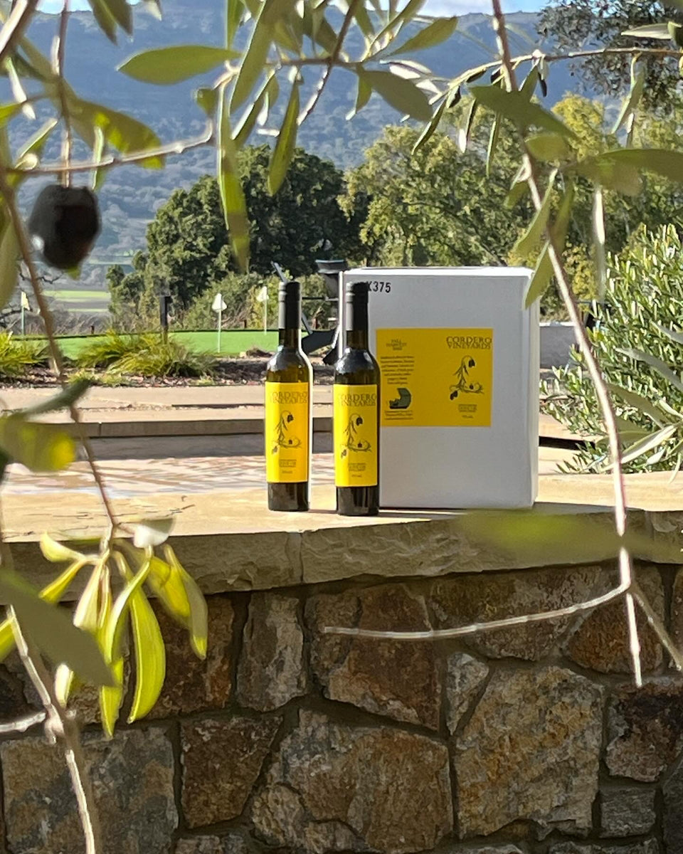 Debra Becker '91, '93 – MN Alumni Market