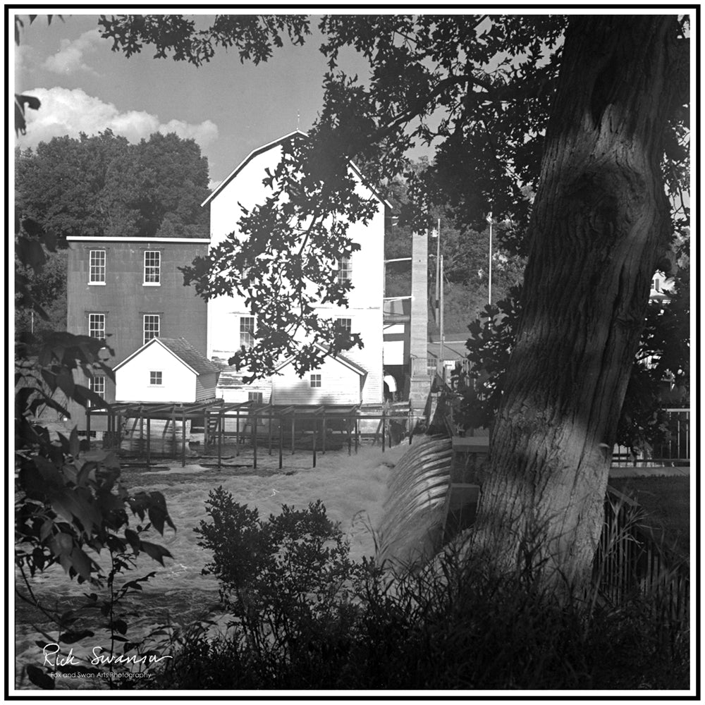 Phelps Mill - ships directly from maker – MN Alumni Market