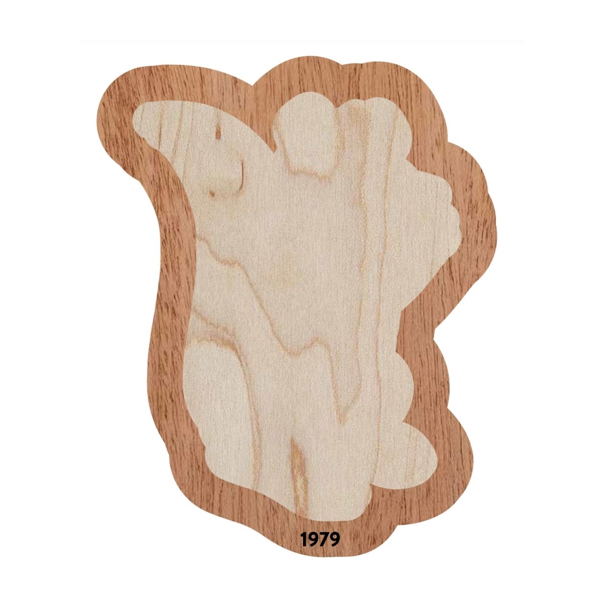 1979 Vintage Goldy Wooden Inlay Puzzle with Tray – MN Alumni Market